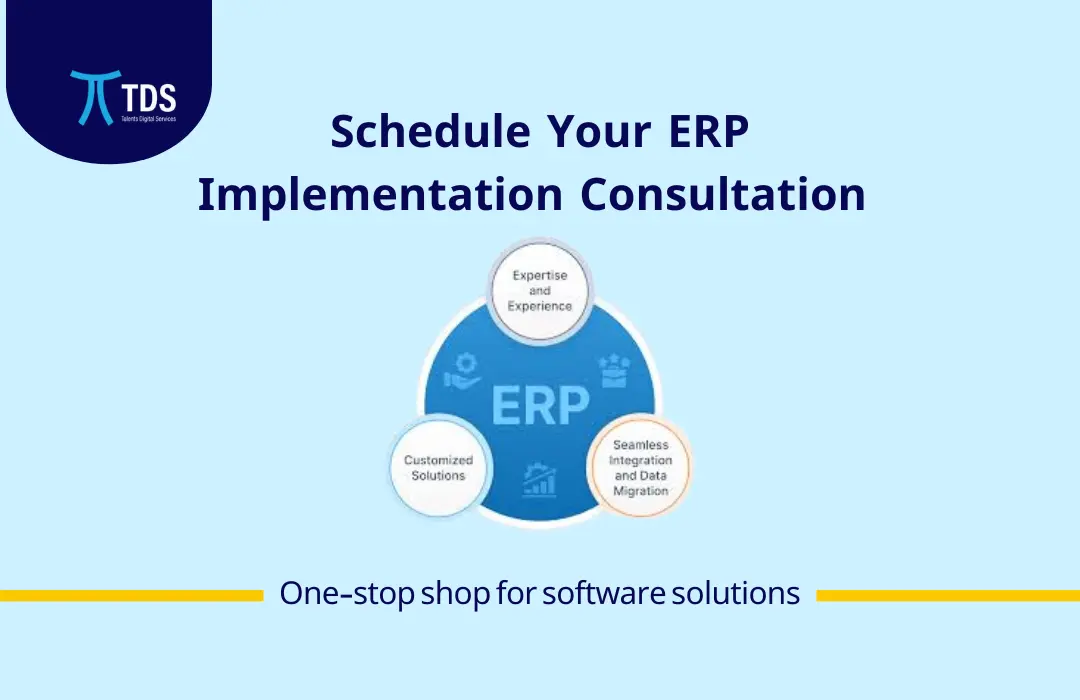 Schedule ERP Implementation Consultation | TDS