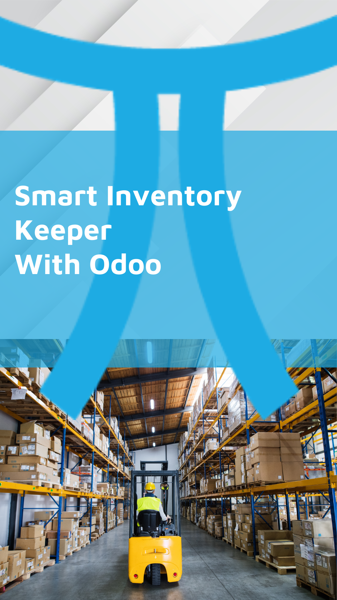 Odoo Inventory Management Solutions | TDS